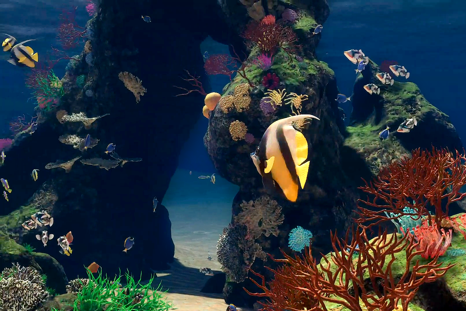 living ocean